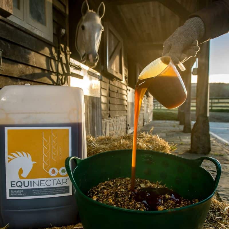 EquiNectar - natural digestive supplement for horses