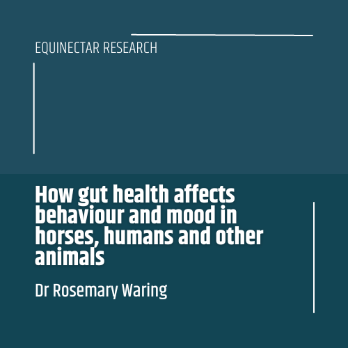 How gut health affects behaviour and mood in horses, humans and other ...