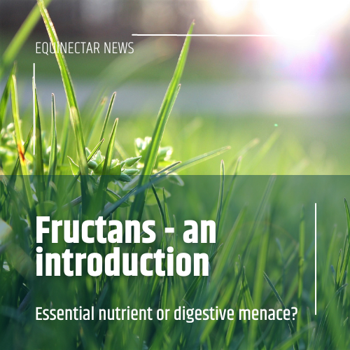 Fructans - an introduction | EquiNectar