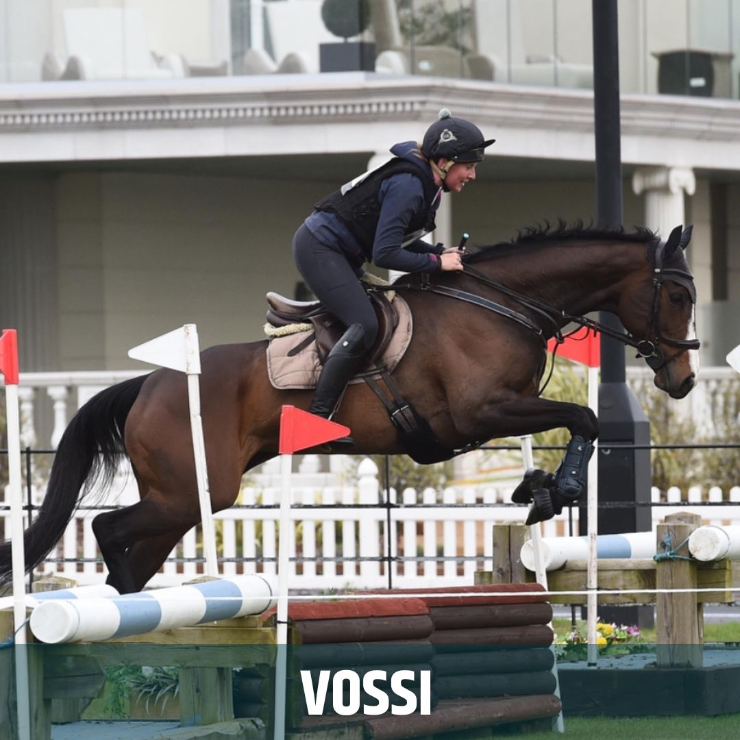 Horse of the week – VOSSI | EquiNectar