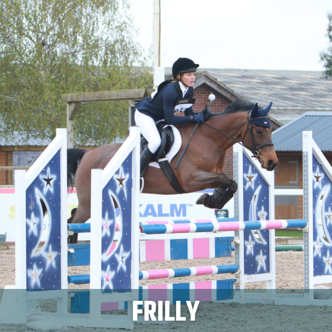 Horse of the week – FRILLY | EquiNectar